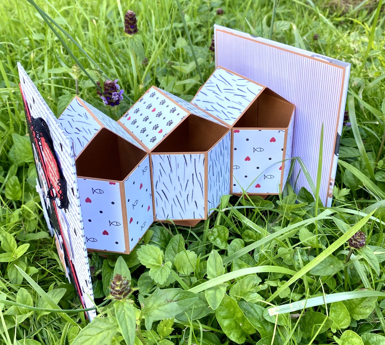 Home déco compagnons | Scrap with Steph